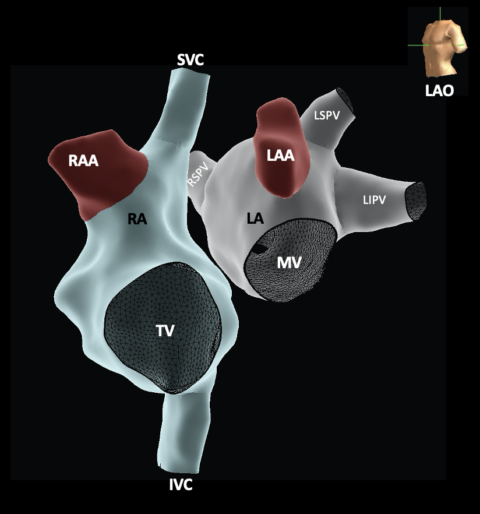 3D Map Interpretation - 1 - EP Essentials